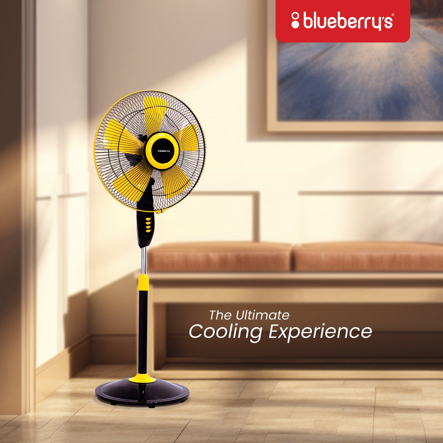 Pedestal Fans – Blueberry's